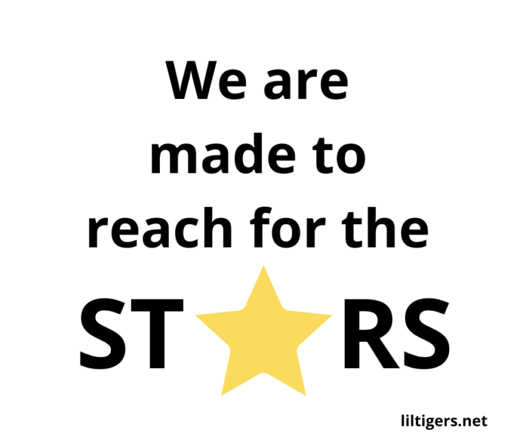 120 Inspiring Star Quotes and Phrases - Lil Tigers