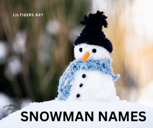 160 Best Snowman Names - Lil Tigers