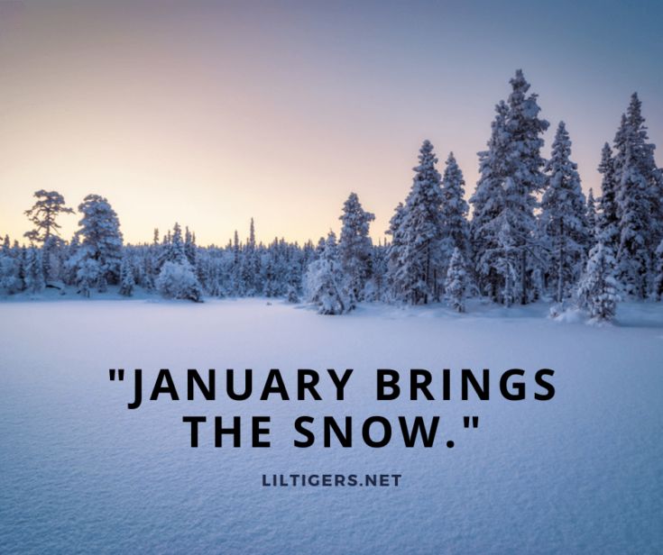 140 Hello January Quotes, Sayings & Wishes (2025) - Lil Tigers