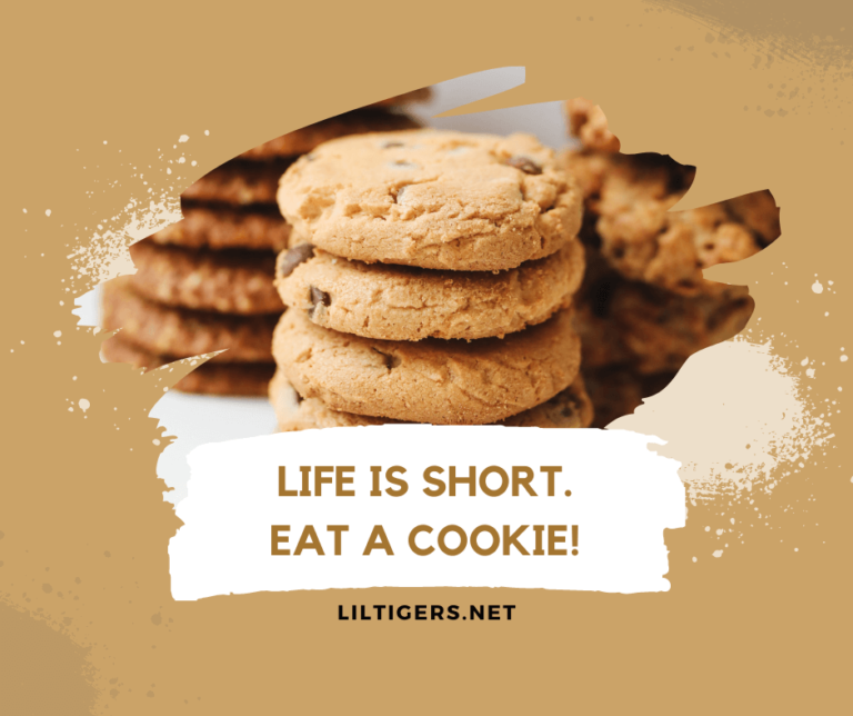 130 Best Cookie Quotes, Captions, and Sayings for Kids - Lil Tigers