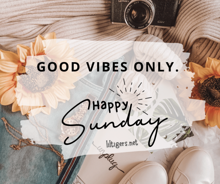 100 Happy Sunday Quotes for Kids - Lil Tigers