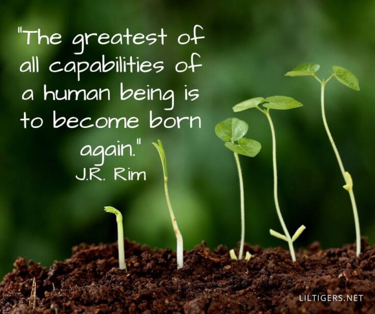 170 Motivational New Beginning Quotes for Kids - Lil Tigers