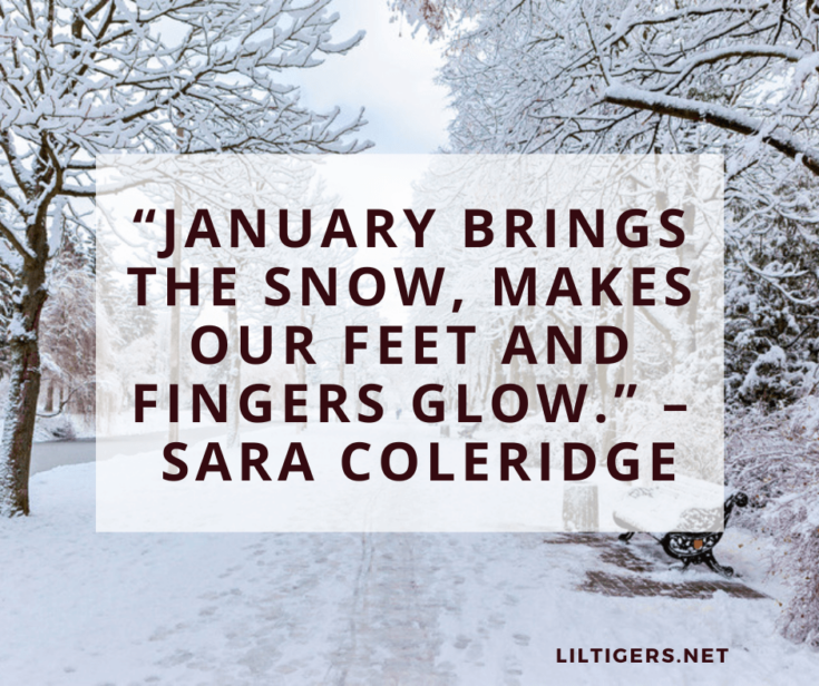 140 Hello January Quotes, Sayings & Wishes (2025) - Lil Tigers