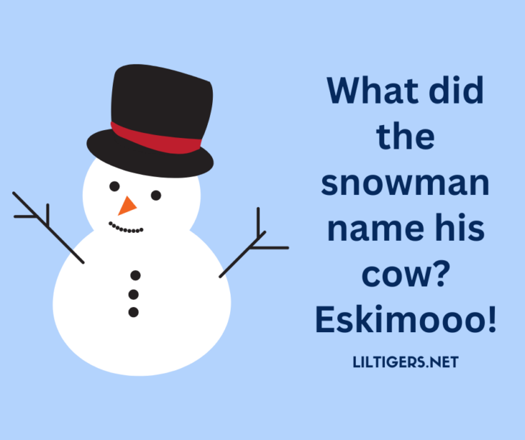 105 Funny Snowman Jokes for Kids (Free Printables) - Lil Tigers