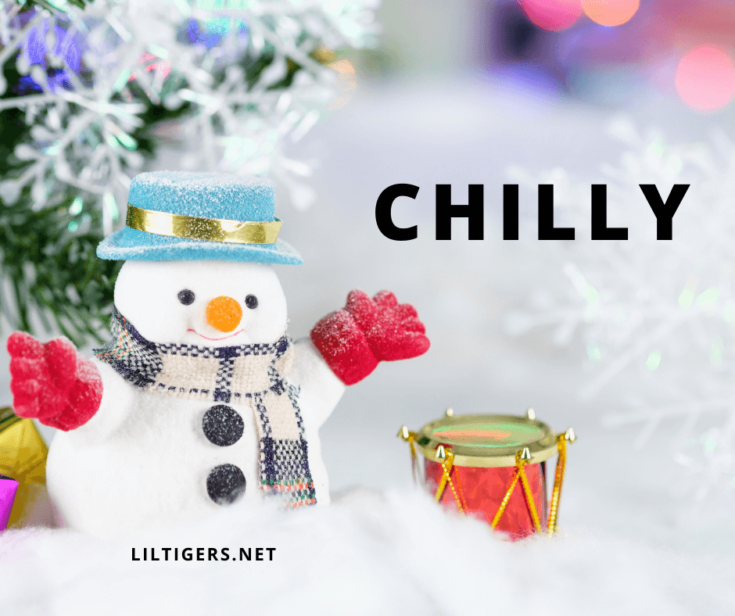 160 Best Snowman Names - Lil Tigers