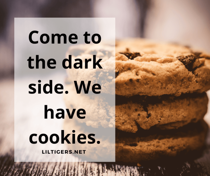 130 Best Cookie Quotes, Captions, and Sayings for Kids - Lil Tigers
