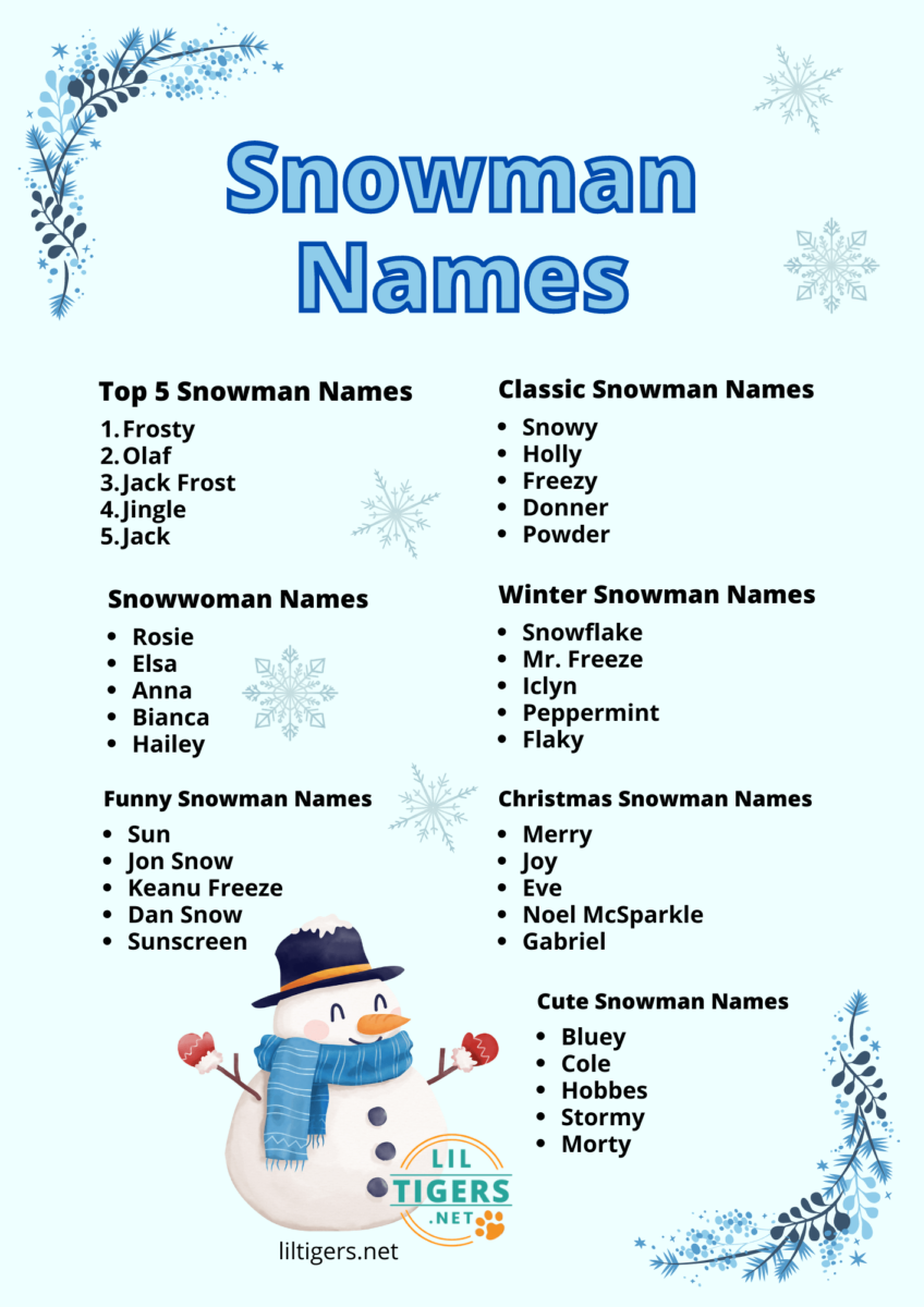 160 Best Snowman Names - Lil Tigers