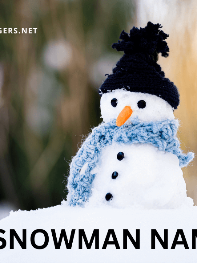 Snowman Names - Lil Tigers