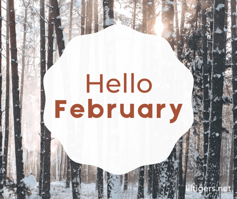 180 Inspiring Hello February Quotes - Lil Tigers