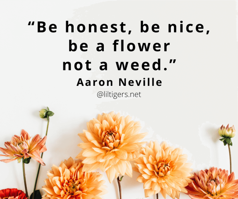 120 Best Flower Quotes for Kids - Lil Tigers