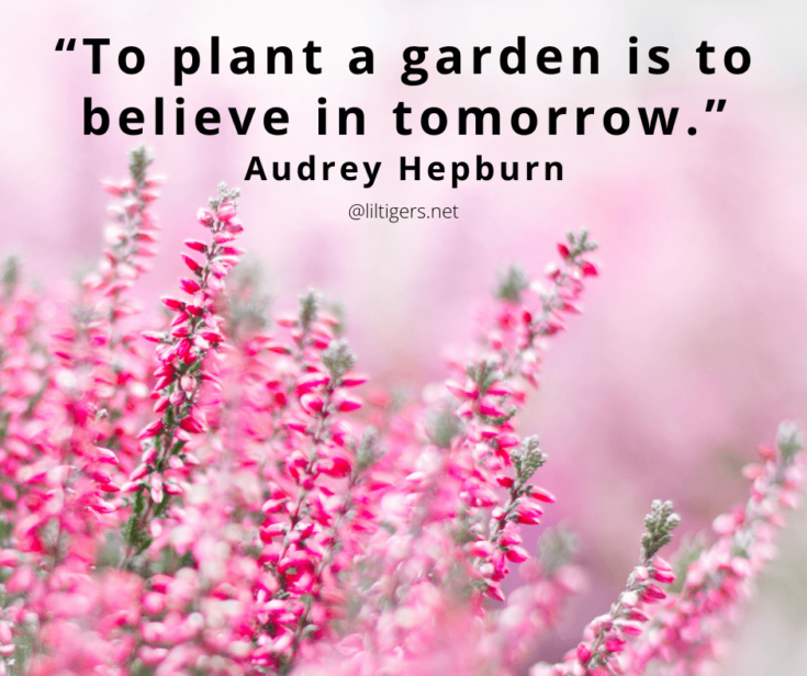 120 Best Flower Quotes for Kids - Lil Tigers