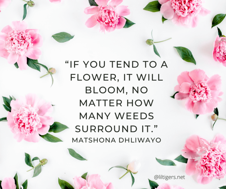 120 Best Flower Quotes for Kids - Lil Tigers
