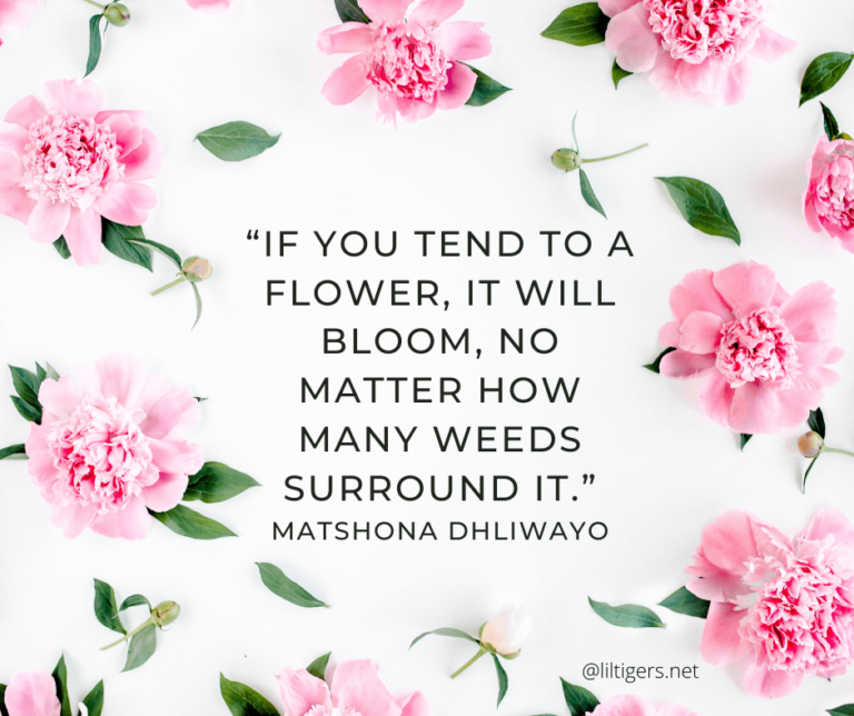 120 Best Flower Quotes for Kids - Lil Tigers