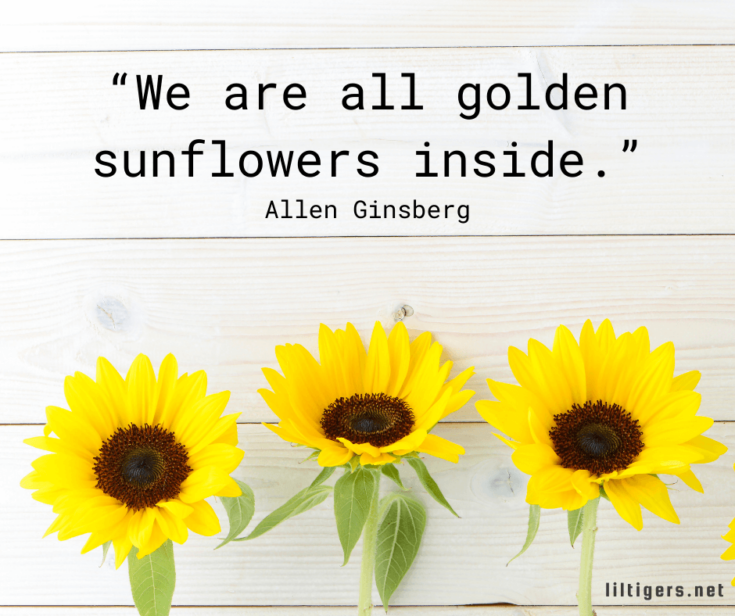 120 Best Flower Quotes for Kids - Lil Tigers