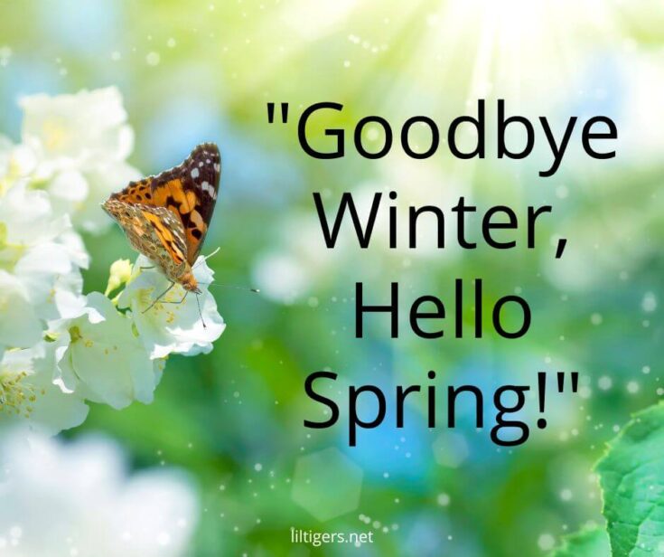 160 Best Hello Spring Quotes for Kids - Lil Tigers