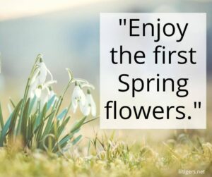 160 Best Hello Spring Quotes for Kids - Lil Tigers