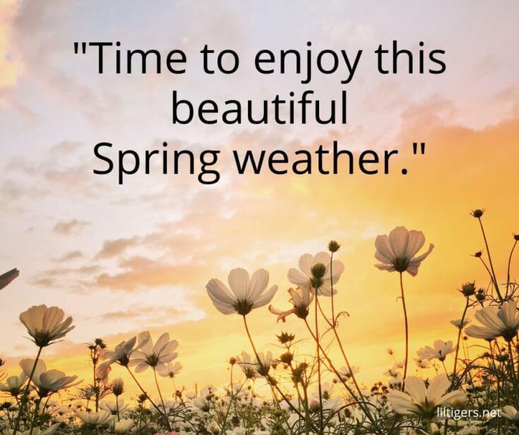 160 Best Hello Spring Quotes for Kids - Lil Tigers