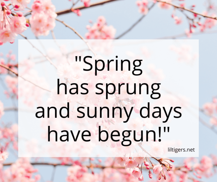 160 Best Hello Spring Quotes for Kids - Lil Tigers