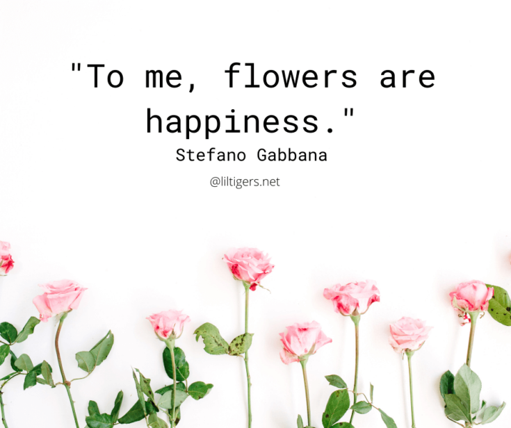 120 Best Flower Quotes for Kids - Lil Tigers