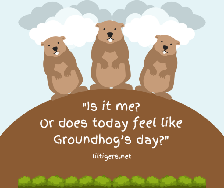 55 Happy Groundhog Day Quotes for Kids - Lil Tigers
