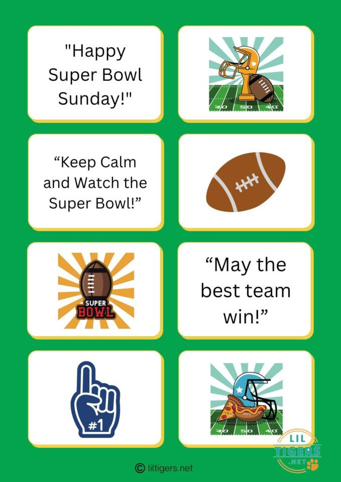 90 Best Super Bowl Quotes for Kids - Lil Tigers