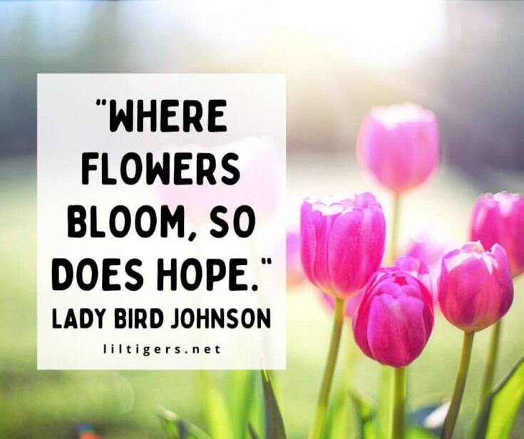 145 Best Tulip Quotes for Kids - Lil Tigers