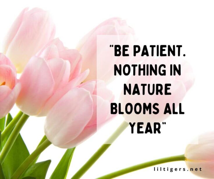120 Best Flower Quotes for Kids - Lil Tigers