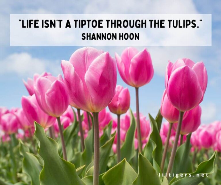 145 Best Tulip Quotes for Kids - Lil Tigers