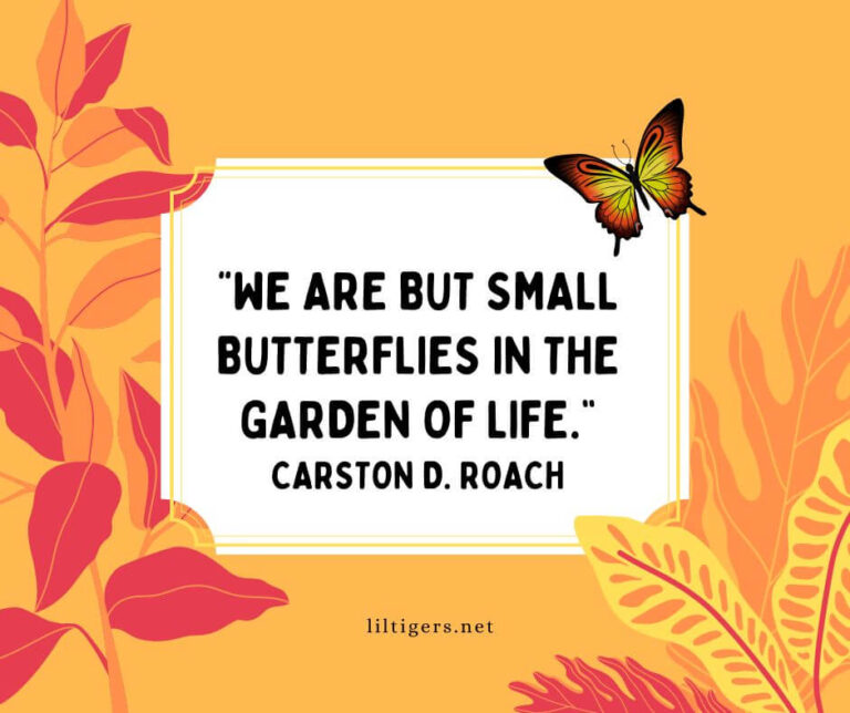 110 Inspiring Butterfly Quotes for Kids - Lil Tigers
