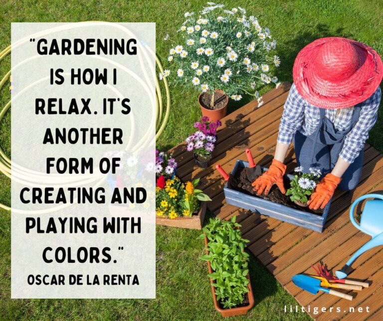 175 Inspirational Gardening Quotes for Kids - Lil Tigers