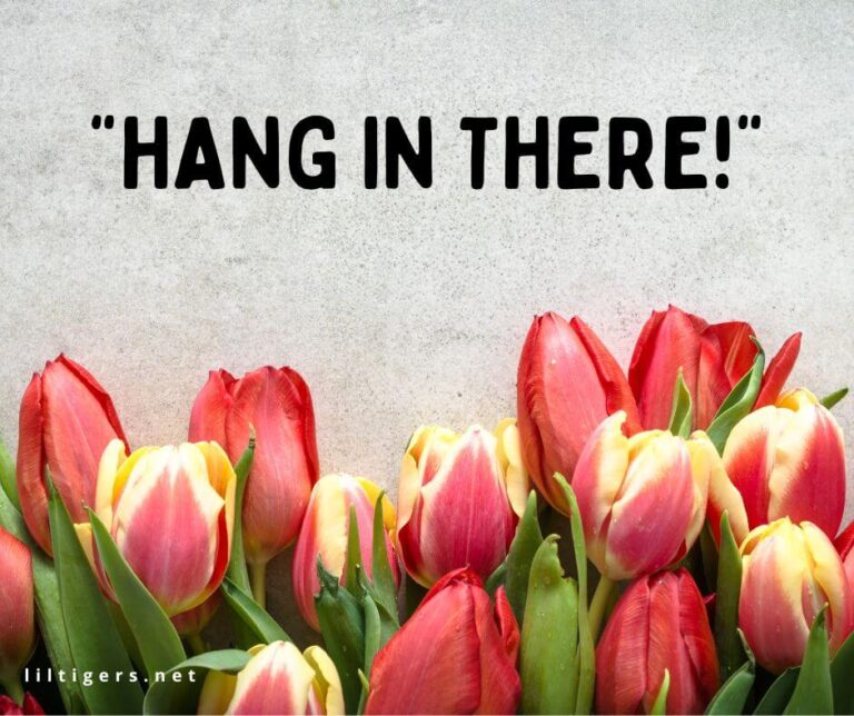 185 Best Get Well Soon Wishes & Messages for Kids - Lil Tigers