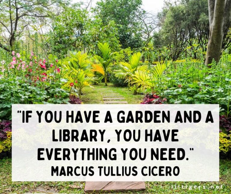 175 Inspirational Gardening Quotes for Kids - Lil Tigers