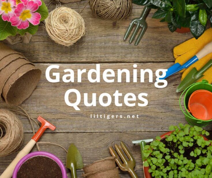 175 Inspirational Gardening Quotes for Kids - Lil Tigers