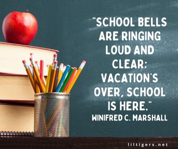 235 Best Back-to-School Quotes for Kids and Teachers - Lil Tigers