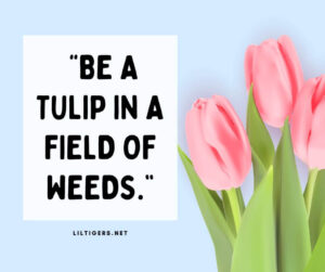 145 Best Tulip Quotes for Kids - Lil Tigers