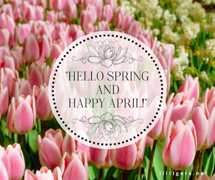 205 Hello April Quotes, Sayings, & Wishes 2025 - Lil Tigers