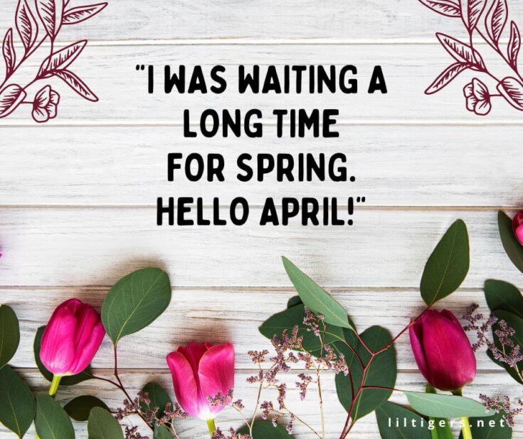 205 Hello April Quotes, Sayings, & Wishes 2025 - Lil Tigers