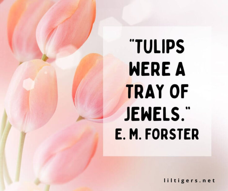 145 Best Tulip Quotes for Kids - Lil Tigers