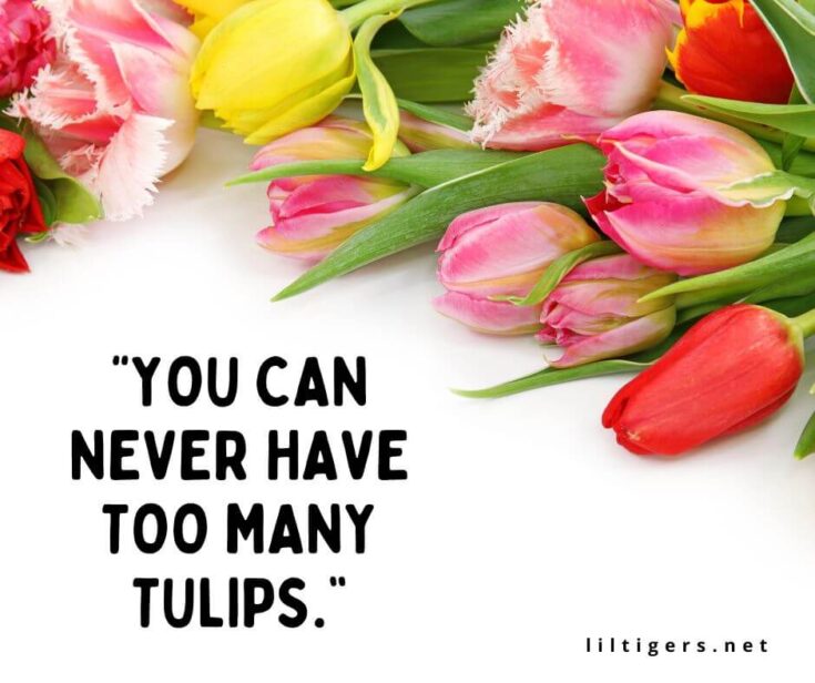 145 Best Tulip Quotes for Kids - Lil Tigers