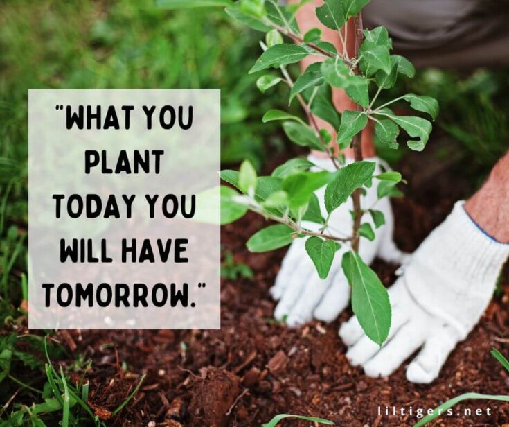 175 Inspirational Gardening Quotes for Kids - Lil Tigers