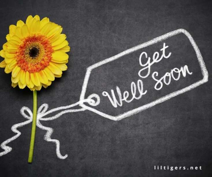 185 Best Get Well Soon Wishes & Messages for Kids - Lil Tigers