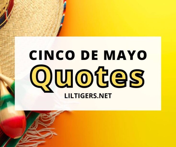 85 Happy Cinco de Mayo Quotes, Sayings, & Wishes - Lil Tigers