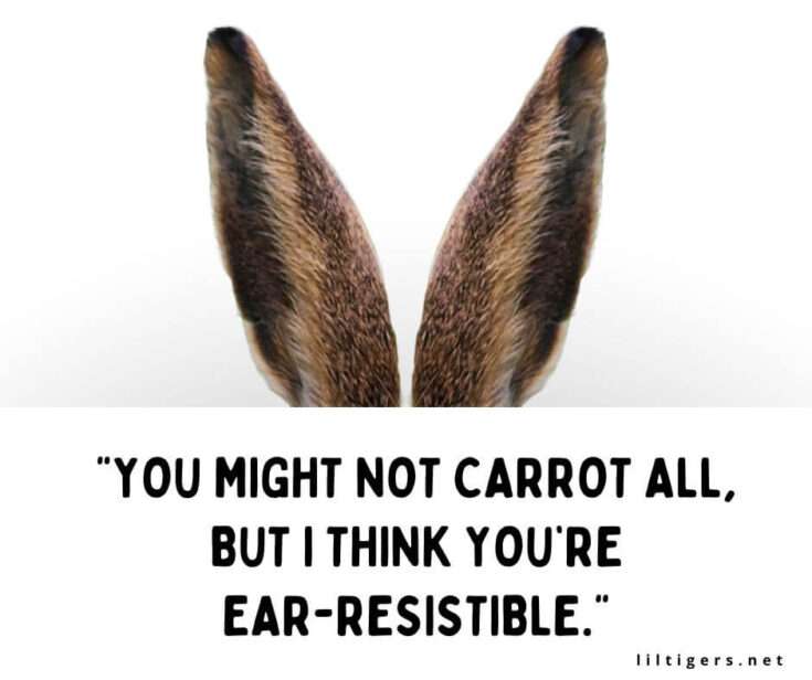 130 Best Bunny Quotes for Kids - Lil Tigers