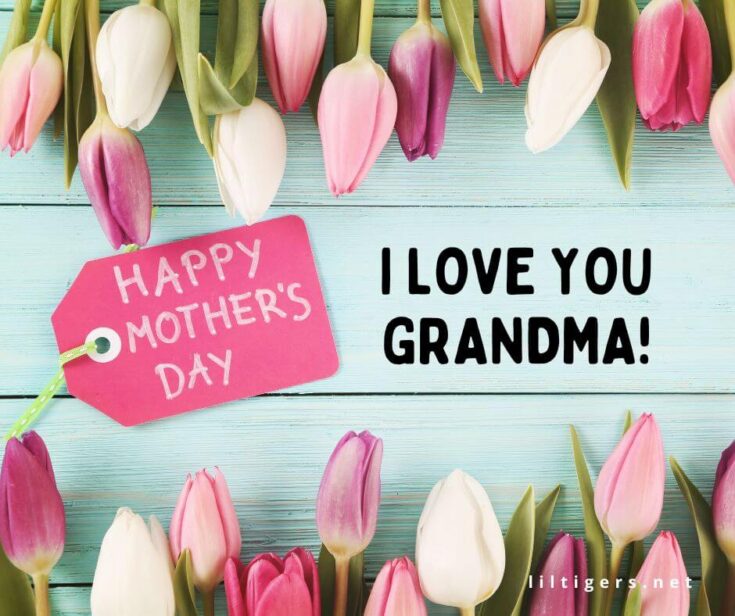 80 Happy Mother's Day Messages for Grandma - Lil Tigers