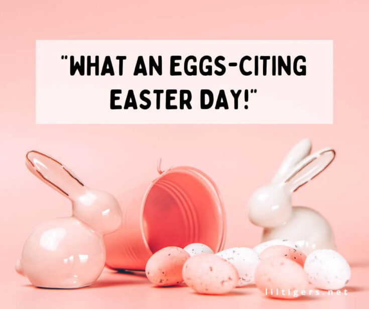 130 Best Bunny Quotes for Kids - Lil Tigers