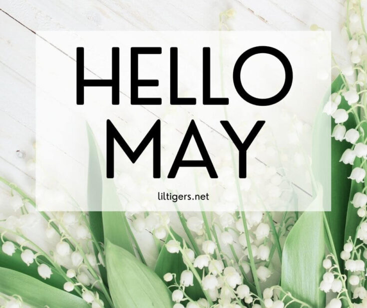 230 Hello May Quotes, Sayings, & Wishes for Kids 2025 - Lil Tigers