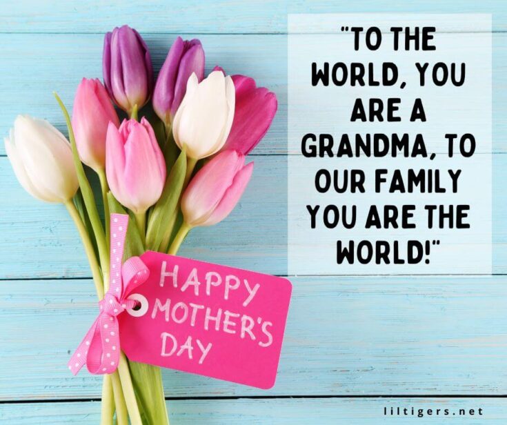 80 Happy Mother's Day Messages for Grandma - Lil Tigers