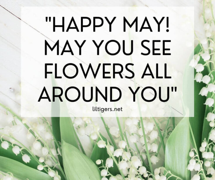 230 Hello May Quotes, Sayings, & Wishes for Kids 2025 - Lil Tigers