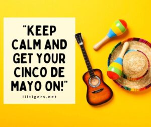 85 Happy Cinco de Mayo Quotes, Sayings, & Wishes - Lil Tigers