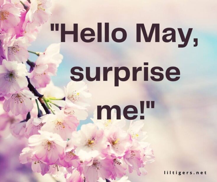 230 Hello May Quotes, Sayings, & Wishes for Kids 2025 - Lil Tigers